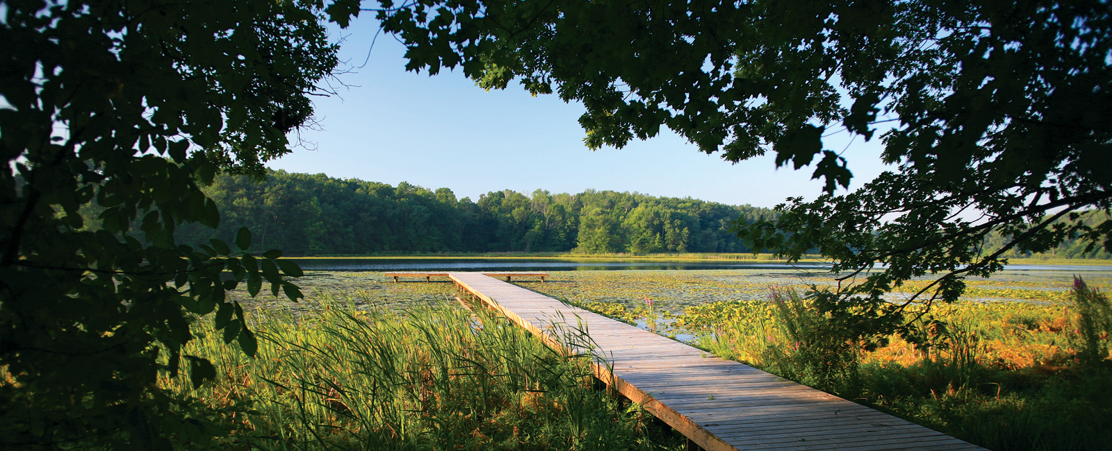 Contact-Us-Header - Gull Lake View