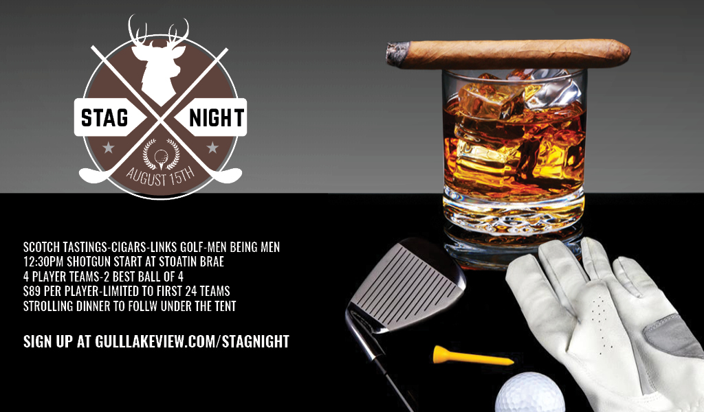 Stag Night - Gull Lake View